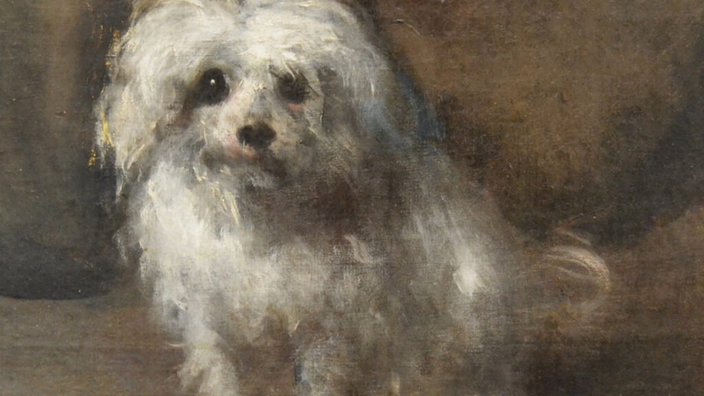 Bichoni în picturi celebre - Goya: "Portrait of Doña Joaquina Candado ...